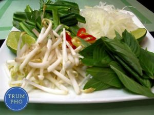 Các Loại Rau Ăn Phở Phổ Biến Nhất Tại Việt Nam - CoSoPho.com